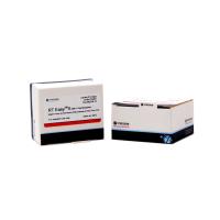 China Foregene Reverse Transcription Kits First Strand High Sensitive RT Kit for sale