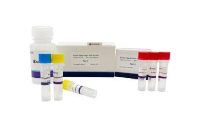 Chine Kits principaux du mélange UNG d'ACP d'AL Animal Tissue Direct de tampon sans isolement d'ADN à vendre