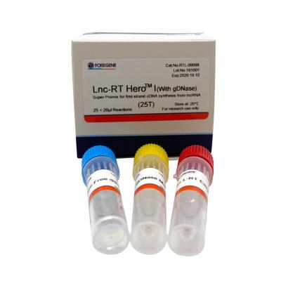 China RT Easy I Master Premix For First Strand CDNA Synthesis Fast And Highly Sensitive Reverse Transcription System for sale