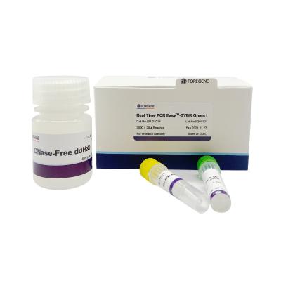 Cina Corredo specifico di Rt Qpcr di quantificazione di PCR della premiscela di verde fluorescente in tempo reale del sistema Sybr in vendita