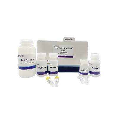 Cina Isolamento Kit Purified Spin Column del DNA del tessuto animale di ricerca del laboratorio in vendita