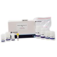 China Laboratory Research Bacterial Genomic DNA Isolation Kit 5000xg Spin Column for sale