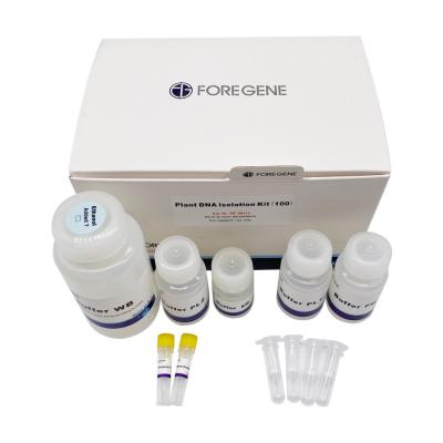 Cina Corredo di purificazione del RNA della pianta del pacchetto di reazione di elevata purezza 200 dell'estratto di Foregene in vendita