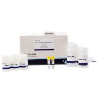 China Buccal Swab FTA Card DNA Isolation Kits Linear Acrylamide Spin Column for sale