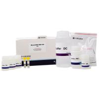China Laboratory Research Reagent Blood DNA Extraction Kit High Purity Spin Column for sale