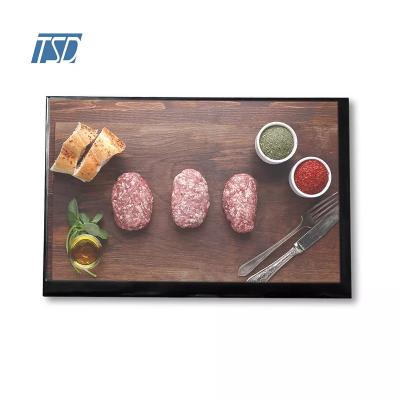 中国 TSD 10.1 インチ 1920x1200 高リゾリューション Tft Lcd ディスプレイ LVDS インターフェイス付き 販売のため