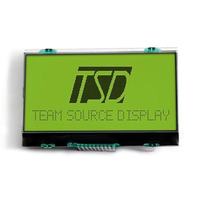 Cina 128*64 Resolution FSTN Transflective Positive Monochrome LCD Module With UC1601S in vendita