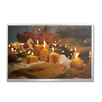 Cina Modulo a 10,1 pollici dell'esposizione del pannello 10,1 dell'affissione a cristalli liquidi del tft di alta luminosità 1000nits IPS dei lvds del perno 1280*800 40 in vendita