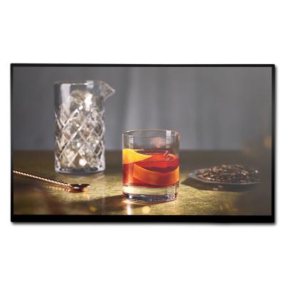 Cina l'esposizione di TFT IPS dell'interfaccia dei lvds, affissione a cristalli liquidi del fhd visualizza l'alta luminosità 700cd/m2 in vendita