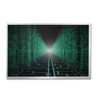 China 10.1'' LVDS Interface Sunlight Readable IPS TFT LCD Display 1280x800 for sale