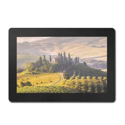 Cina 10.1 Inch 1024x600 Resolution RGB Interface 425nits HX8282 HX8696 IC TFT LCD Display LCD Panel with TN Glass in vendita