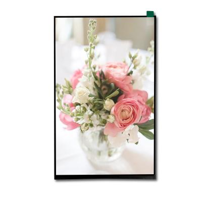 Китай панель 10,1 800x1280 270nits TFT LCD» с интерфейсом MIPI продается