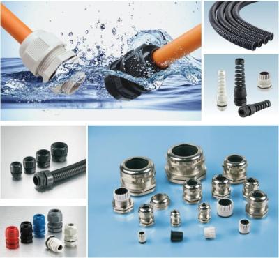 China Cable gland for sale