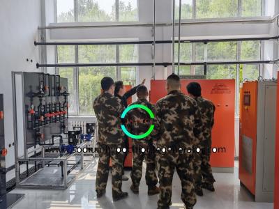 Cina Auto sull'ipoclorito di sodio del sito generator-CNJS-5000 in vendita