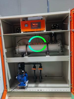 China 3000 g / h  0.8% High Purity Brine Electrolysis Sodium Hypochlorite Generation System for sale