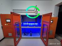 China Sodium Hypochlorite Generator---From brine for sale