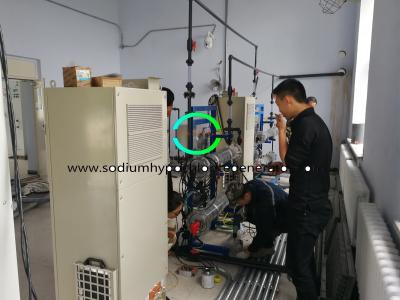Cina Grande generatore dell'ipoclorito di sodio dell'impianto per il trattamento delle acque su ordine in vendita