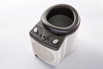China WIne Beer Milk Portable Thermoelectric Cooler And Warmer For Mini Bottle Or Can for sale