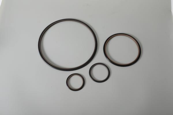 Quality Dust Proof Rubber HBTS Seal Mechanical Seal Auto Engines Brown for sale