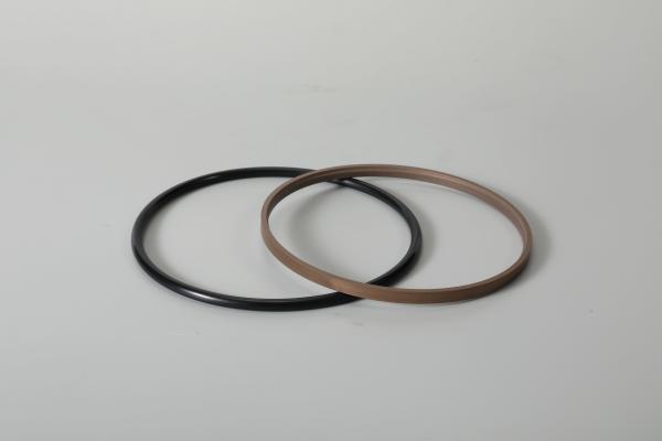 Quality Dust Proof Rubber HBTS Seal Mechanical Seal Auto Engines Brown for sale