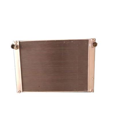중국 모든 종류의 모델을 사용자 정의 컴퓨터 물 냉각 라디에이터 버스용 1301-06131 판매용