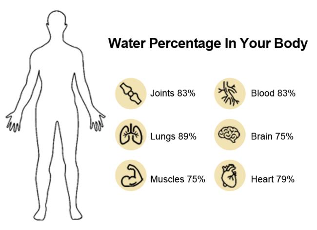 Technical diagram of hydrogen machine components