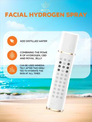 China 400MAH Battery Powered 15ml Hydrogen Mist Spray Deep Moisturizing for sale