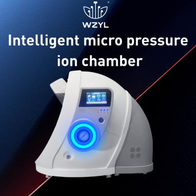 Cina Intelligente Micro Pressione Hyperbaric Hard Chamber Hyperbaric Oxygen Therapy Chamber in vendita