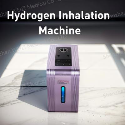 China Double Suction Hydrogen Gas Inhalation Machines Hydrogen Inhalers 450W for sale