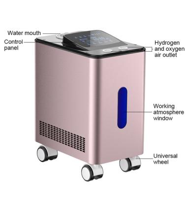 China Movable Hydrogen Inhalation Therapy Machine 900ml Enhancing Energy Levels for sale