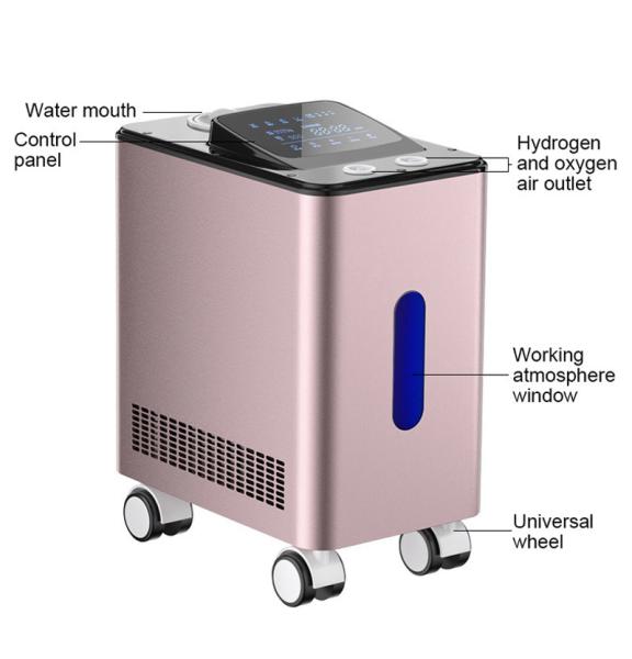 Quality Movable Hydrogen Inhalation Therapy Machine 900ml Enhancing Energy Levels for sale
