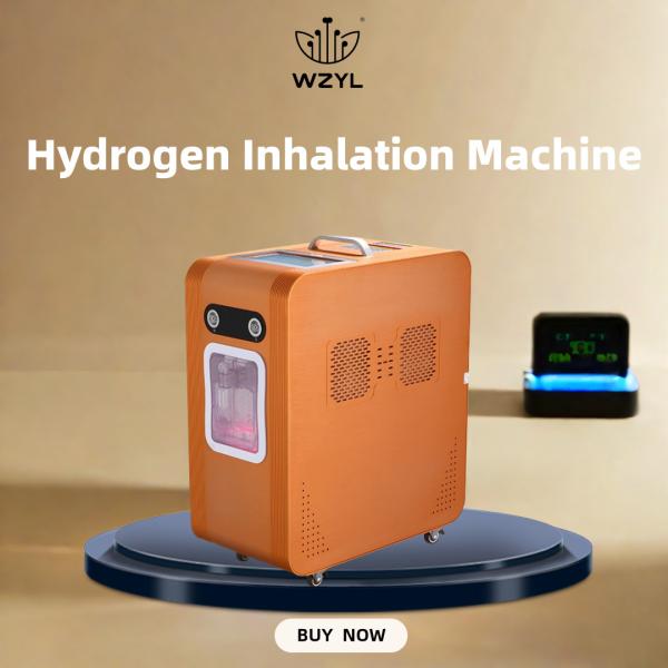 Quality AC220V Hydrogen Oxygen Inhaler Hydrogen Inhaling Machine 3000ml/M for sale