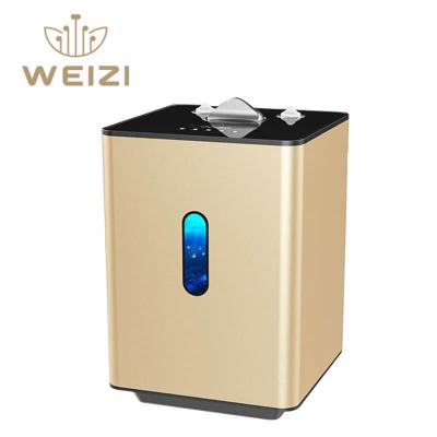 China 225ml/min SPE PEM Hydrogen Inhalation Machine with 99.992% Purity for sale