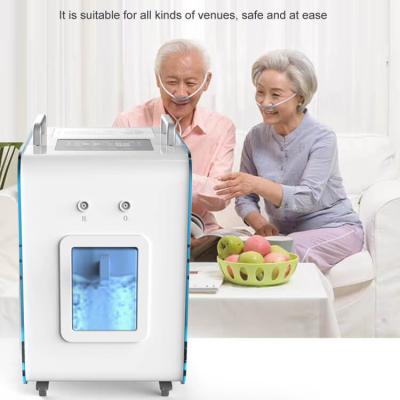 China Portable Hydrogen Inhalation Machine with 900ml Hydrogen Gas 600ml Hydrogen Output and 300ml Oxygen Output for Household Use for sale