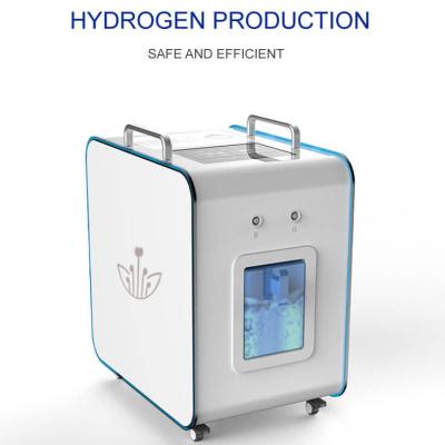China Portable Hydrogen Inhalation Machine with 900ml Hydrogen Gas 600ml Hydrogen Output and 300ml Oxygen Output for Household Use for sale