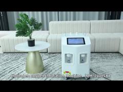 2400ml Two People Hydrogen Inhalation Machine For Health Cancer Treat