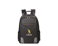 China Water Repellent Durable Durable Waterproof Backpack Not Easily Deformed for sale