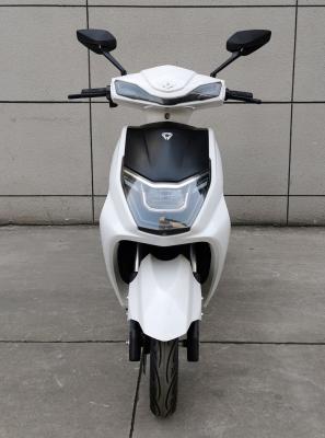 China On sale New designed electric moped scooter with lithuim battery/lead acid battery and OEM service for sale