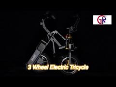 Nas rodas da parte dianteira 2 da venda bicicleta elétrica dobrável motorizada do triciclo