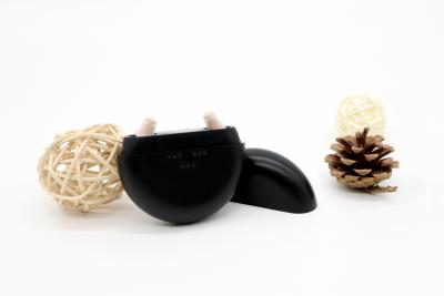 China Mini Digital Rechargeable Hearing Aids-Lawaai die met het Laden van Geval annuleren Te koop