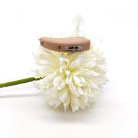 China White Open Fit Hearing Aids 4 Channels Self Programmable for sale