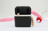 China Gray BTE Hearing Aids With Bluetooth Vigor 402 Digital Hearing Amplifier for sale