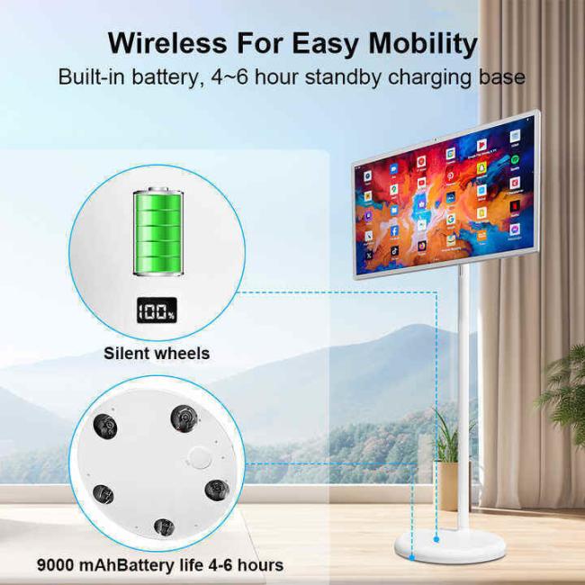 stanbyme tv battery.jpg