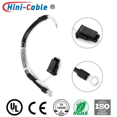 Cina MOLEX 3.0mm 2 Pin To Tinned End 24AWG ha annunciato il cablaggio in vendita
