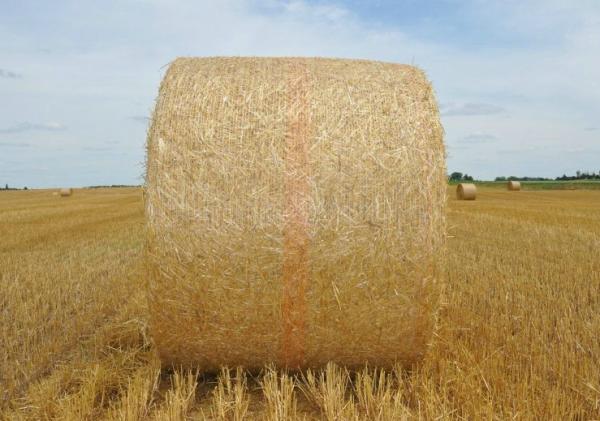HDPE Hay Bale Net Wrap For Agriculture , Hay Bale Netting 1.7m Width