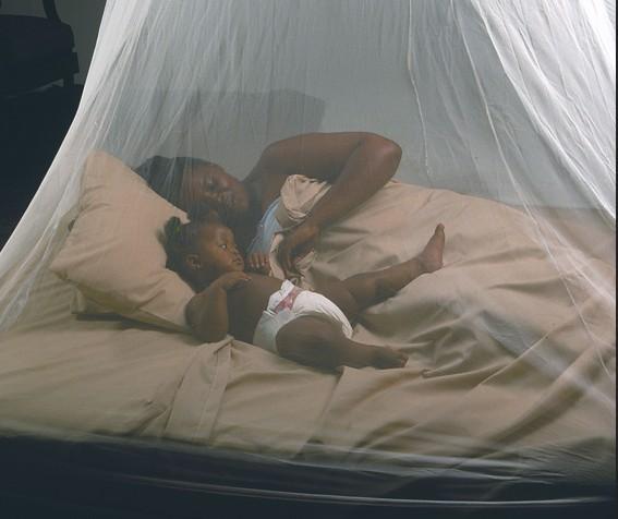 Anti UV HDPE Anti Insect Netting / Mosquito Bed Net For Bed , Customized