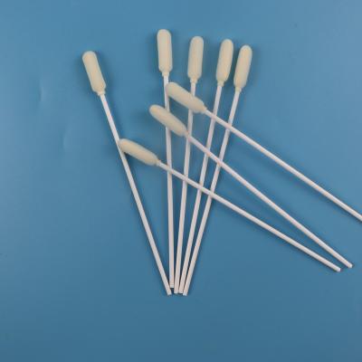 China 6mm het Grote Ronde Hoofd Medische Steriele Mondelinge Wegwerpproduct van de Bemonsteringszwabber Te koop