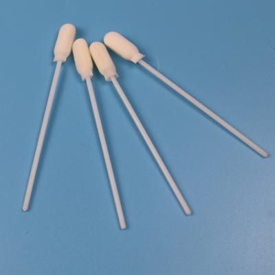 China 10mm Big Round Sponge Stick Foam Tip Specimen Collection Swab Individual Packing for sale