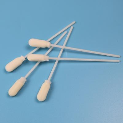 China 10mm Big Round Sponge Stick Foam Tip Specimen Collection Swab Individual Packing for sale