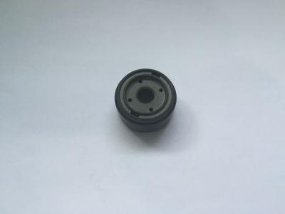 Cina I fori unici 27# PTFE hanno legato il pistone senza contaminazione e sinterpowder in vendita